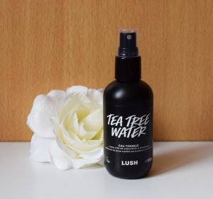 La collection de Fête des Pères 2019 de Lush ! - Purple Dream | Blog ...